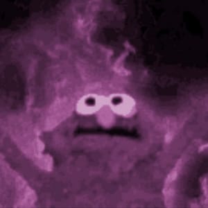 Contact • Not Carly • - Creator and Influencer