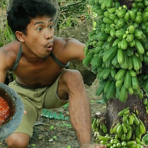 Contact Life In Jungle - Creator and Influencer