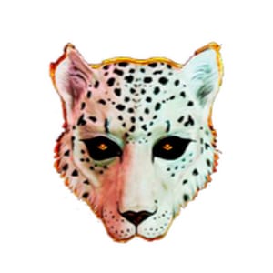 Contact Pantera Blanca TV - Creator and Influencer