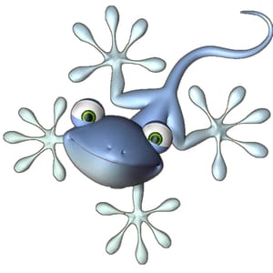 Contact Tokek - Creator and Influencer