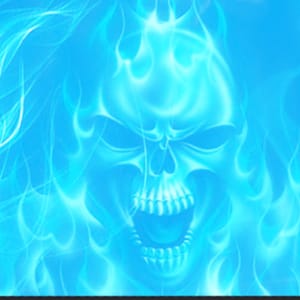 Contact X-Ray - Creator and Influencer