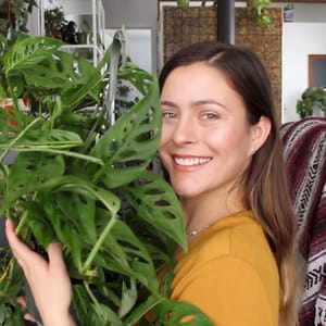 Contact Harli G - Creator and Influencer