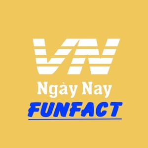 Contact VNNN Fun Fact - Creator and Influencer