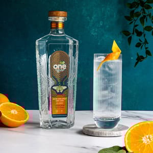 5 Gin Cocktails That Are Perfect For Sunny Days (And Help Save The ...