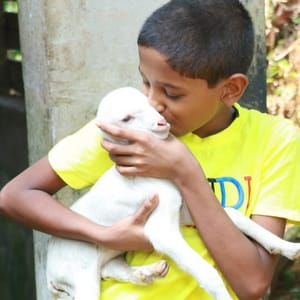 Contact Aju village life - Creator and Influencer