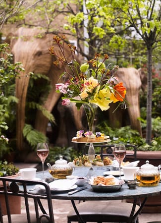 13 Botanical Restaurants In London
