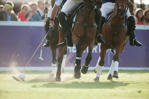 What to Do This Weekend: 3rd-5th June