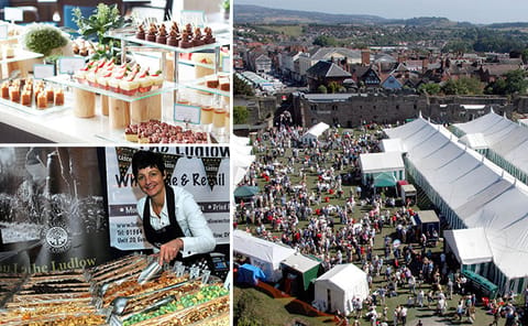 18 of the Best Summer Festivals