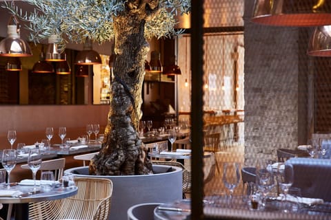 Where To Get Wood: Restaurants With Trees In Them