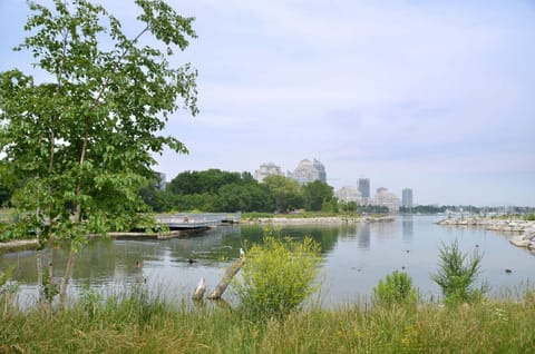 10 Reasons to Visit Toronto, Pronto