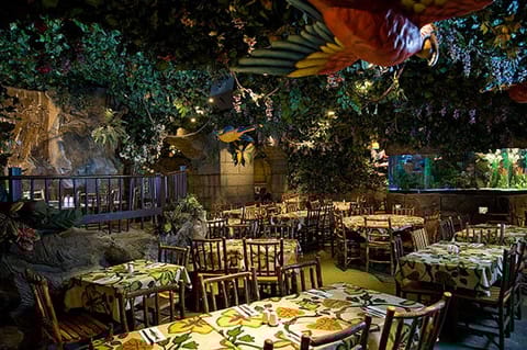 It's A Jungle In There! Jungle Dining (Without Leaving London) - The ...