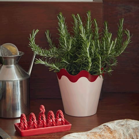 Interiors Trend: Scalloped Edges Are Having A Moment - The Handbook