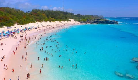 Pink Sand Beaches To Travel To This Summer