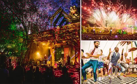 18 of the Best Summer Festivals