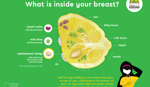 Here's How To Use Lemons To Help Check For Breast Cancer - The Handbook