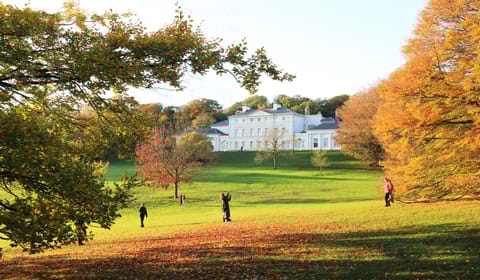 7 Autumnal Walks Around London (With Pubs Along The Way)