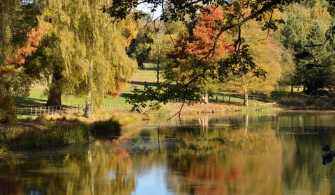 7 Autumnal Walks Around London (With Pubs Along The Way)