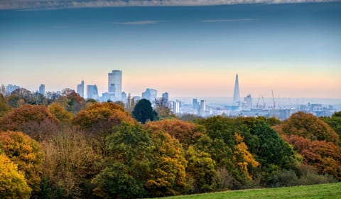 7 Autumnal Walks Around London (With Pubs Along The Way)