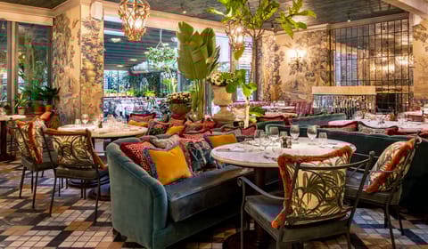 The Ivy Collection - Venue