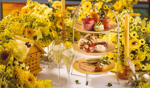 The Ivy Collection - Venue