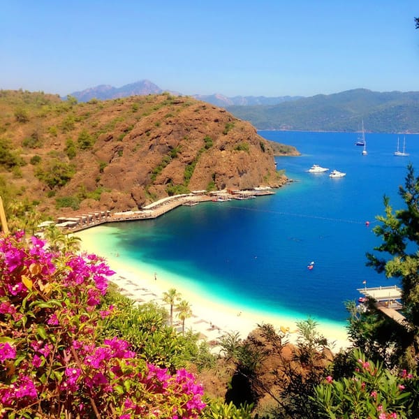 Contact Gezen Adam - Creator and Influencer