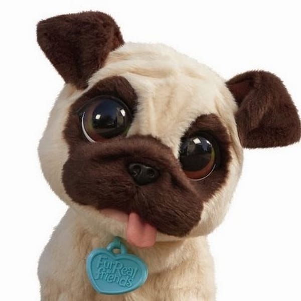 Contact Bublik - Creator and Influencer