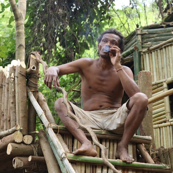 Contact Primitive Jungle - Creator and Influencer