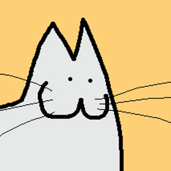 Contact Kattvalk - Creator and Influencer