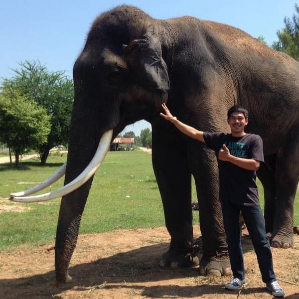Contact Elephant Thailand - Creator and Influencer