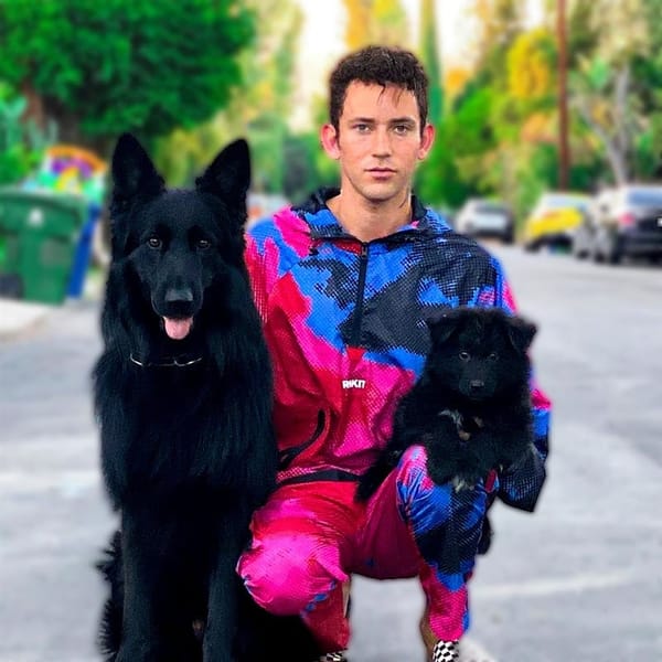 Contact The Dog Daddy - Creator and Influencer