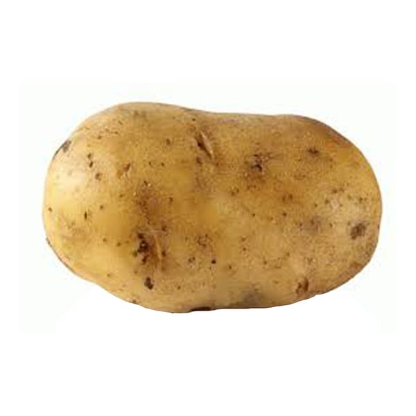 Contact Tatered - Creator and Influencer