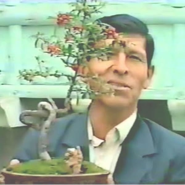 Contact Siempreverde - Creator and Influencer