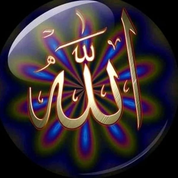 Contact kyutty - Creator and Influencer