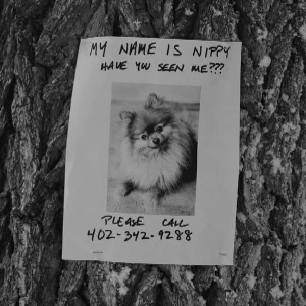 Contact Nippy - Creator and Influencer