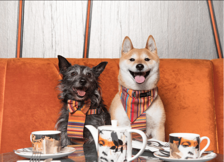 Dog Menus | Howl With Happiness At 10 Of London's Best Doggy Menus
