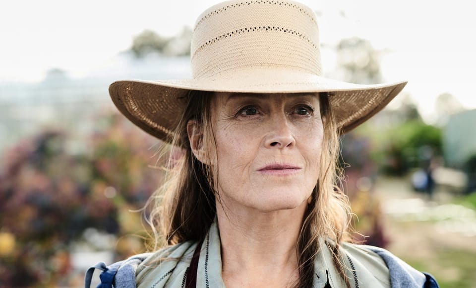 The Lost Flowers of Alice Hart: Everything We Know